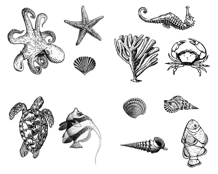 Mayco Designer Silk Screen, 12-1/2 x 18 in, Sea Life - Walmart.com