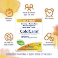 Boiron Coldcalm Cold Relief Quick Dissolving Tablets-60 ct - Walmart.com