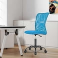Blue Mesh Office Chair Armless Ergonomic Task Chair With Lumbar Support ...