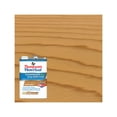 Thompson's WaterSeal Waterproofer Plus Tinted Wood Protector, Desert ...