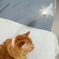 Pet Cat Toys Elastic Cat Collar With Bell And Spring Feather Tease Cat ...