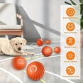 Interactive Gravity Bouncing Ball-Durable Chew Ball With Automatic ...