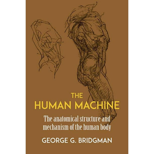 Dover Anatomy for Artists: The Human Machine (Paperback) - Walmart.com