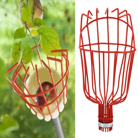Fruits Catcher Convenient Fruit Picker For Farm For Garden For Orchard ...