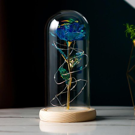 FanShow Beauty And The Beast Rose Forever Infinity Rose In Glass Dome ...