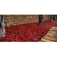 Dragon Glass 25 lb Red Landscape & Fire Pit Glass, 1/2" - Walmart.com