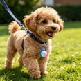 Japceit Rechargeable LED Dog Collar Safety Light, Clip On Pet Pendant ...