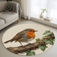Bird Round Rug 3ft Washable Circle Entryway Rugs Non Slip Ivy Branch ...