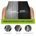 Nova Hair Dye Shampoo, Plant Extract Instant Dye Shampoo, Nova Hair Dye ...