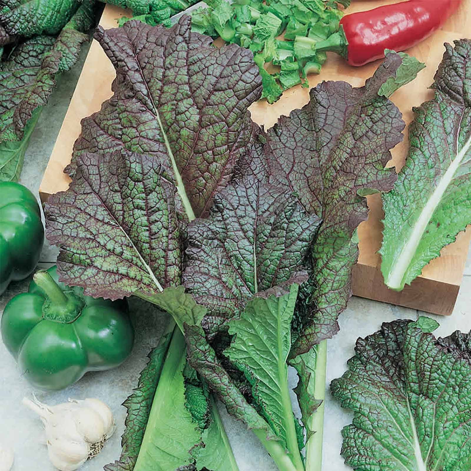 Red Giant Mustard Seeds: 5 Lb - Bulk, Non-GMO Seeds for Herb Gardening ...