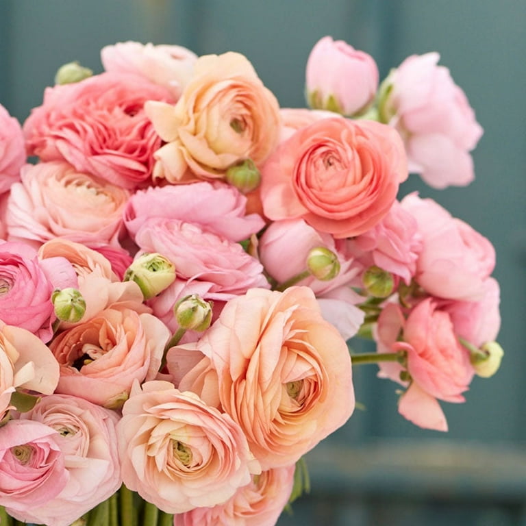 Light Pink Ranunculus Bouquet