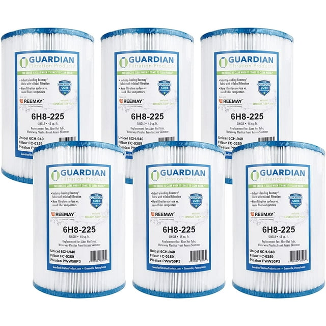 Guardian Filtration Products Pool/Spa Filter 6H8-225-06 6-Pack ...