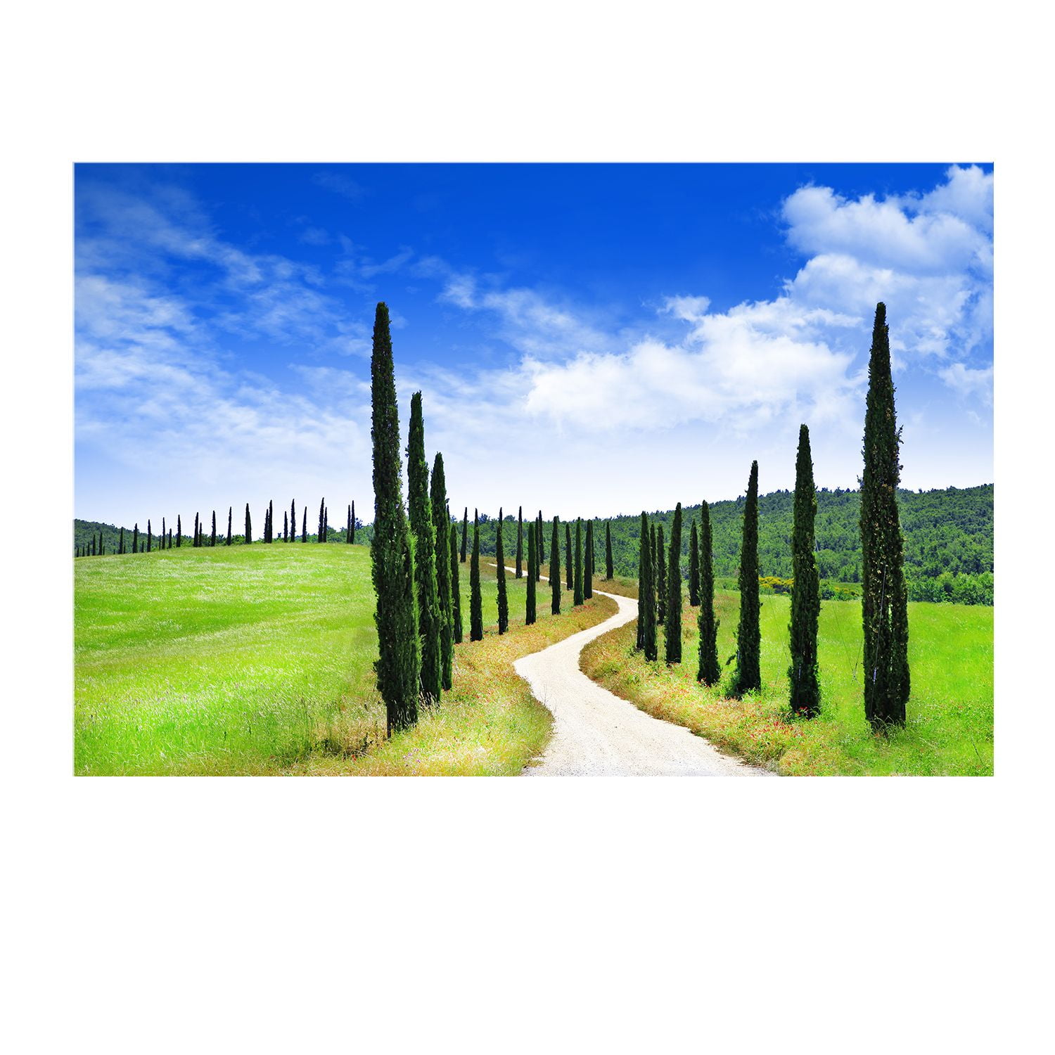 Startonight Mural Wall Art Path to Nature Theme - Landscape Theme Photo ...