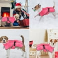 Dog Winter Coat - Cold Weather Jacket with Padding Built-In Vest for ...
