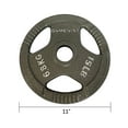 Gymenist 15lb Metal Weight Plate Pair, 2 Inch Olympic Barbell, Strength ...