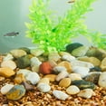 Vibrant Life Large Bag River Rocks Aquarium Decor, 38 oz Bag - Walmart.com