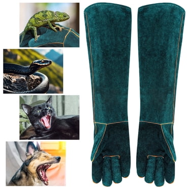 BYNNIX Bird Training Anti-Bite Glove Safety Working Protect from Parrot ...