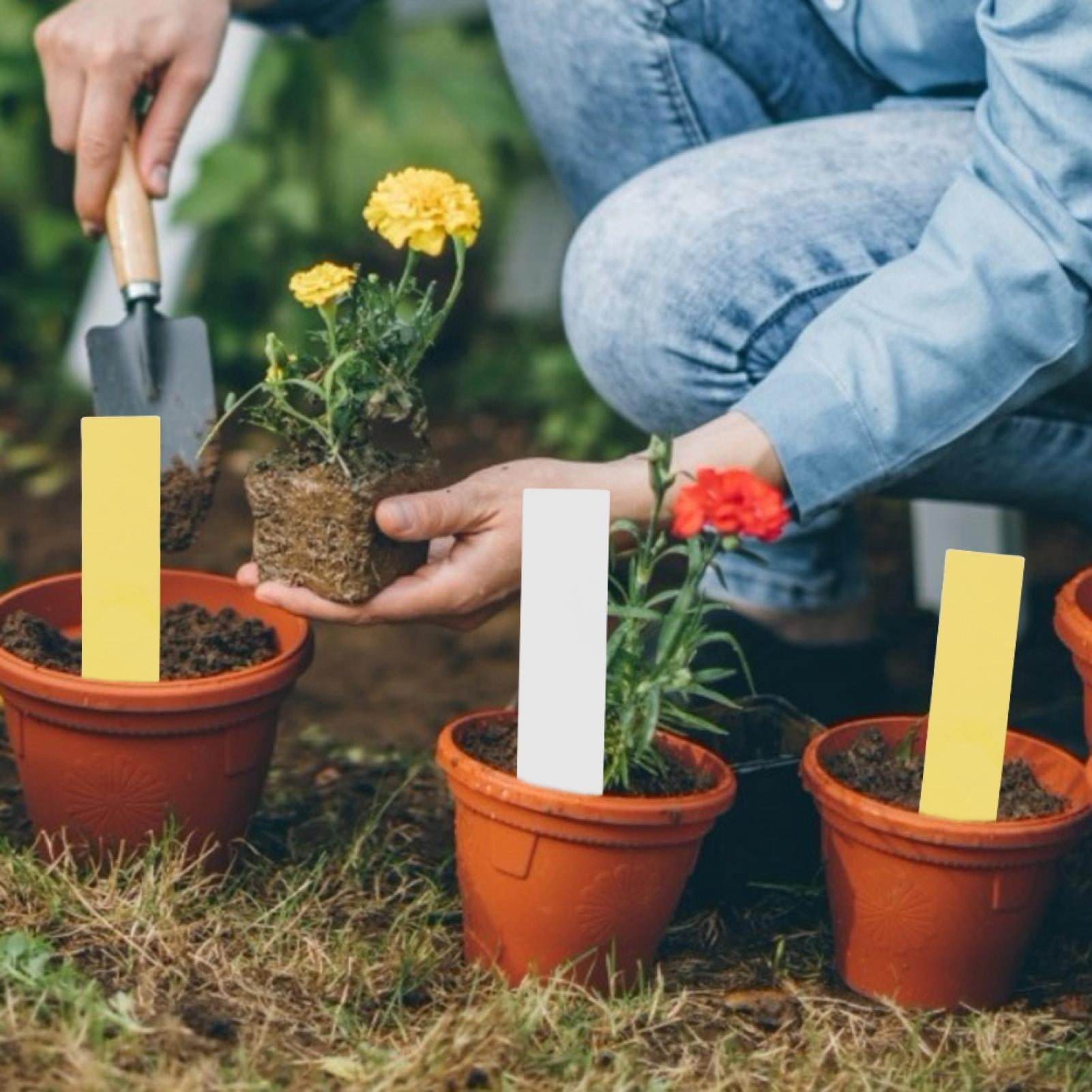 Marcadores Etiquetas de signos de semillas de jardín de vivero ...