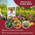 Brut Organic Worm Castings for Plants 5 LB – Natural Nutrients ...