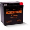 Free Shipping! Yuasa YTZ14S High Performance Factory Activated Maintenance Free Battery ...