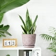 BESTSELER 10 Inch Plant Pot, Ceramic Planter with Drainage Holes and ...