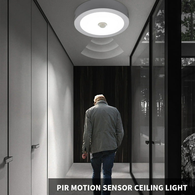 Infrared Ceiling Lights | Shelly Lighting