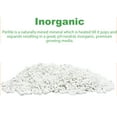 Viagrow Horticultural Perlite, Medium for Indoor/Outdoor Plants, Soil ...
