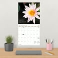 Trends International 2024 Zen Wall Calendar & Push Pins - Walmart.com