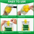 Say Goodbye to Pesky Flies with Outdoor Fly Traps Bag, Natural Pre ...
