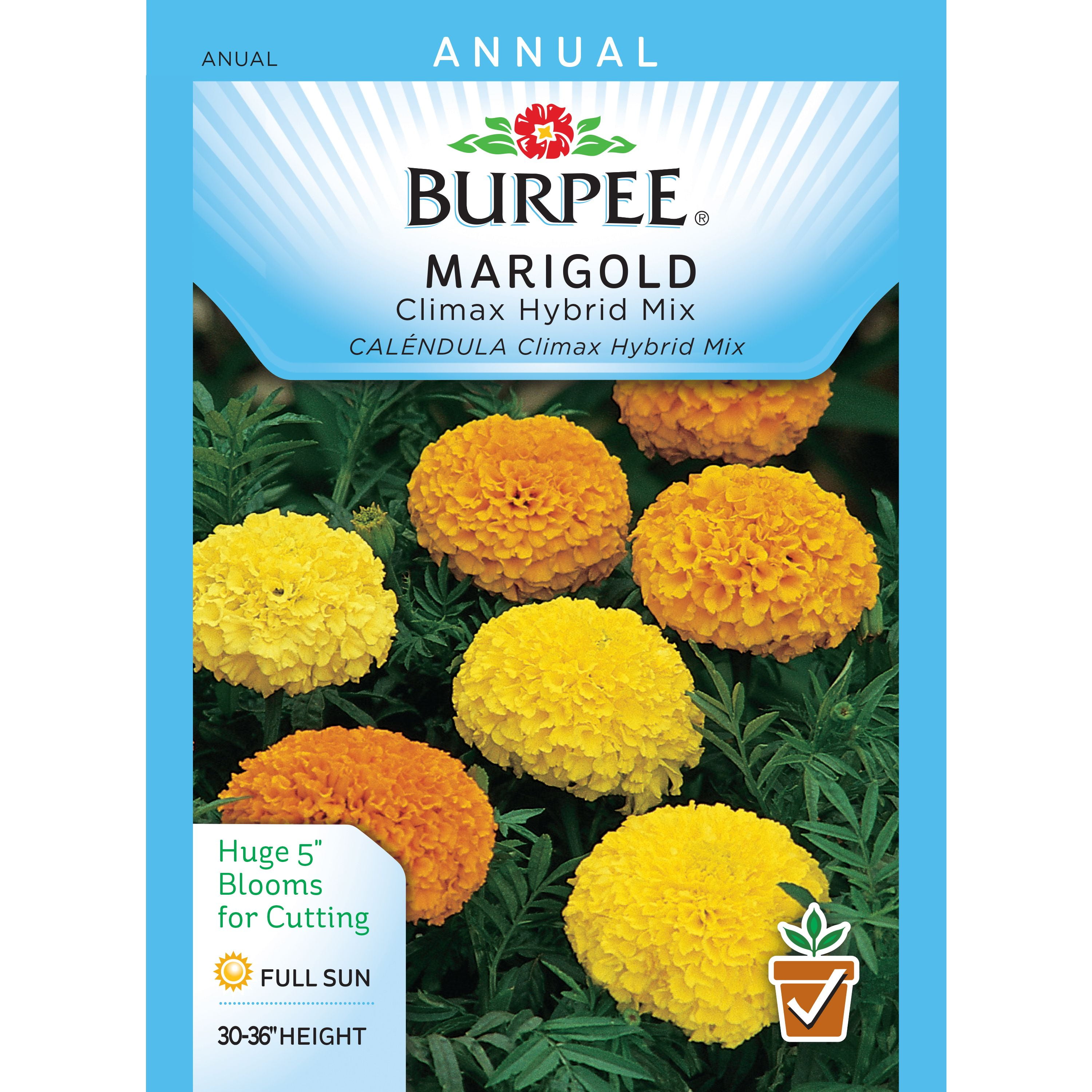 Burpee-Marigold, Climax Mix Hybrid Seed Packet - Walmart.com - Walmart.com