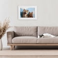 Stupell Industries Adopted Brother Dog & Cat White Framed Print Under ...