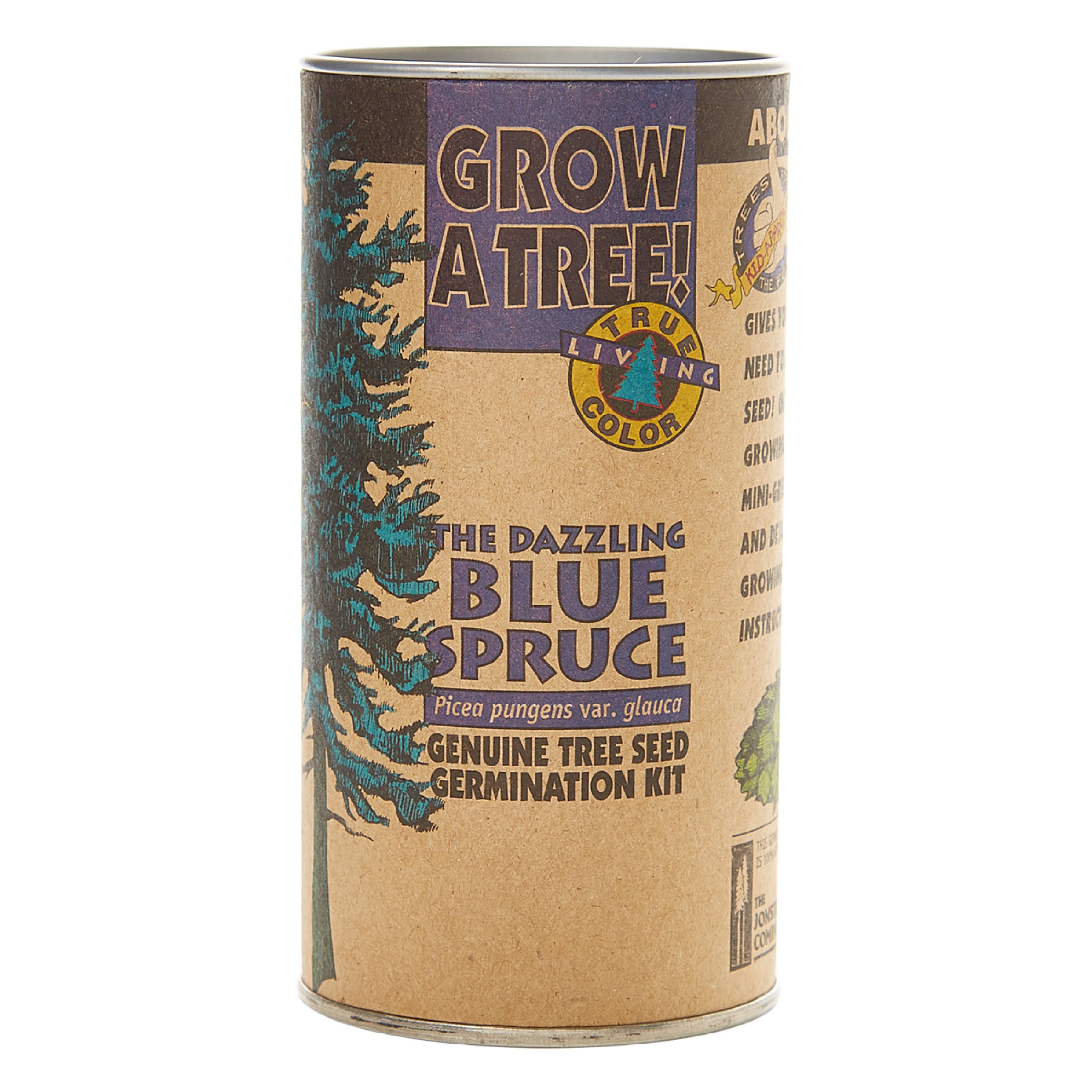 Colorado Blue Spruce | Tree Seed Grow Kit | The Jonsteen Company ...