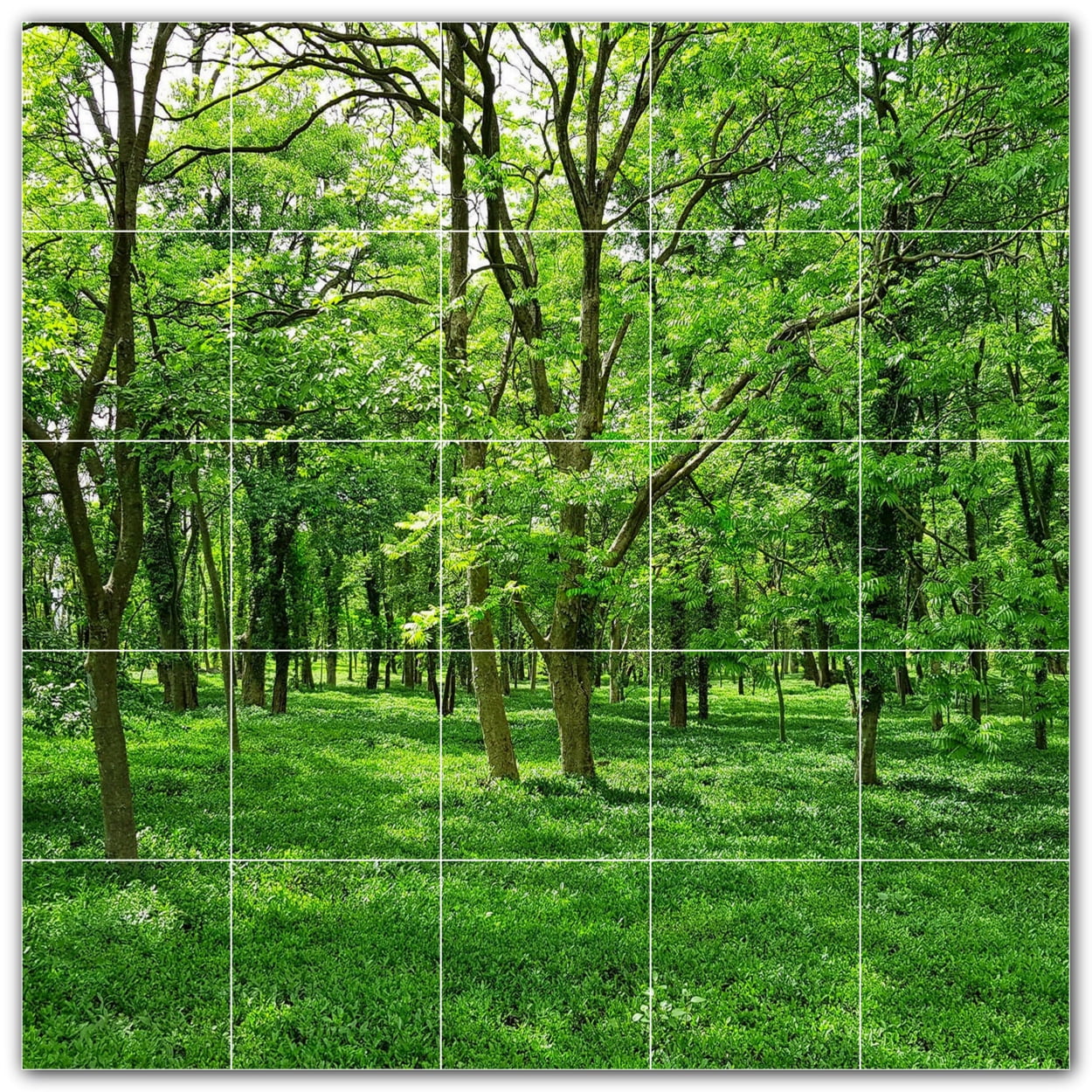 Picture-Tiles.com: Trees Ceramic Tile Wall Mural WAL501005-55XL. 60"W x ...