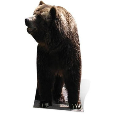 Brown Bear Cardboard Stand-Up, 7ft - Walmart.com