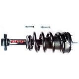 FCS Automotive International Complete Strut Assembly - Walmart.com