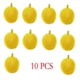 ACDANC 10 Pcs Sticky Fruit Fly Trap Ball Adhesive Fly Catching Ball ...