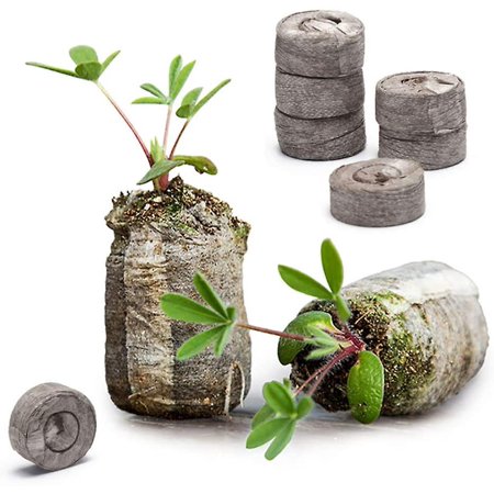 30 Pcs Fiber Pellet Plants - Compressed Soil Expands With Water ...