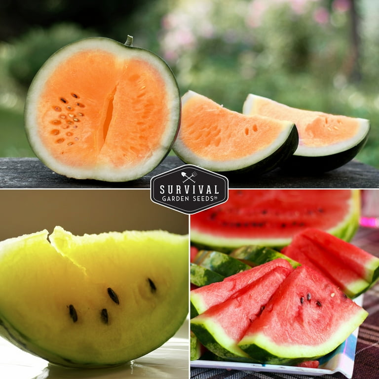 Different Colored Watermelons