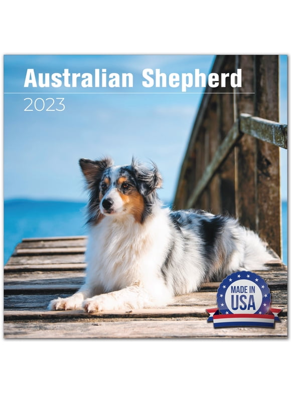 Dog Wall Calendars in Wall Calendars - Walmart.com
