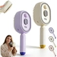 2026 New Electric Steam Brush for Hair, Hair Brush with Water Spray ...