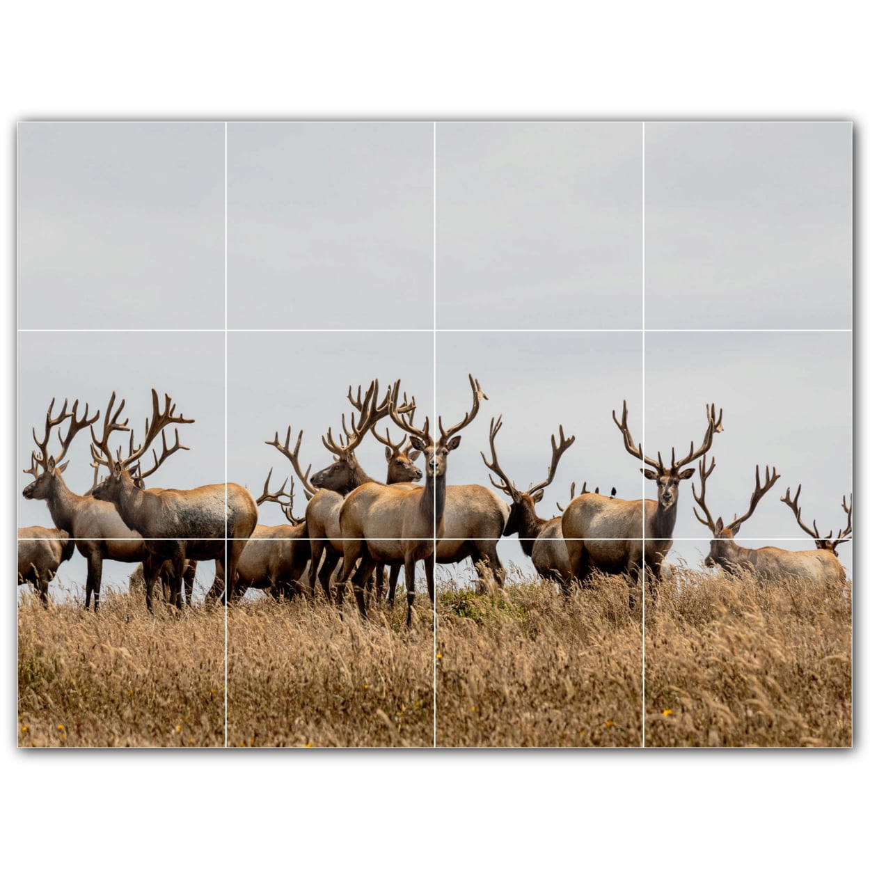 Picture-Tiles.com: Deer Ceramic Tile Wall Mural WAL500437-43XL. 48"W x ...