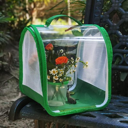 Insect and Butterfly Habitat Cage Caterpillar Enclosure Collapsible ...