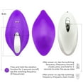 Dildo Adult Sensory Toys Sex Toy For Women Dildo Wearable Panty