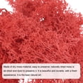 Uxcell 0.35 OZ Moss Fake Moss Artificial Moss Natural Preserved Moss ...
