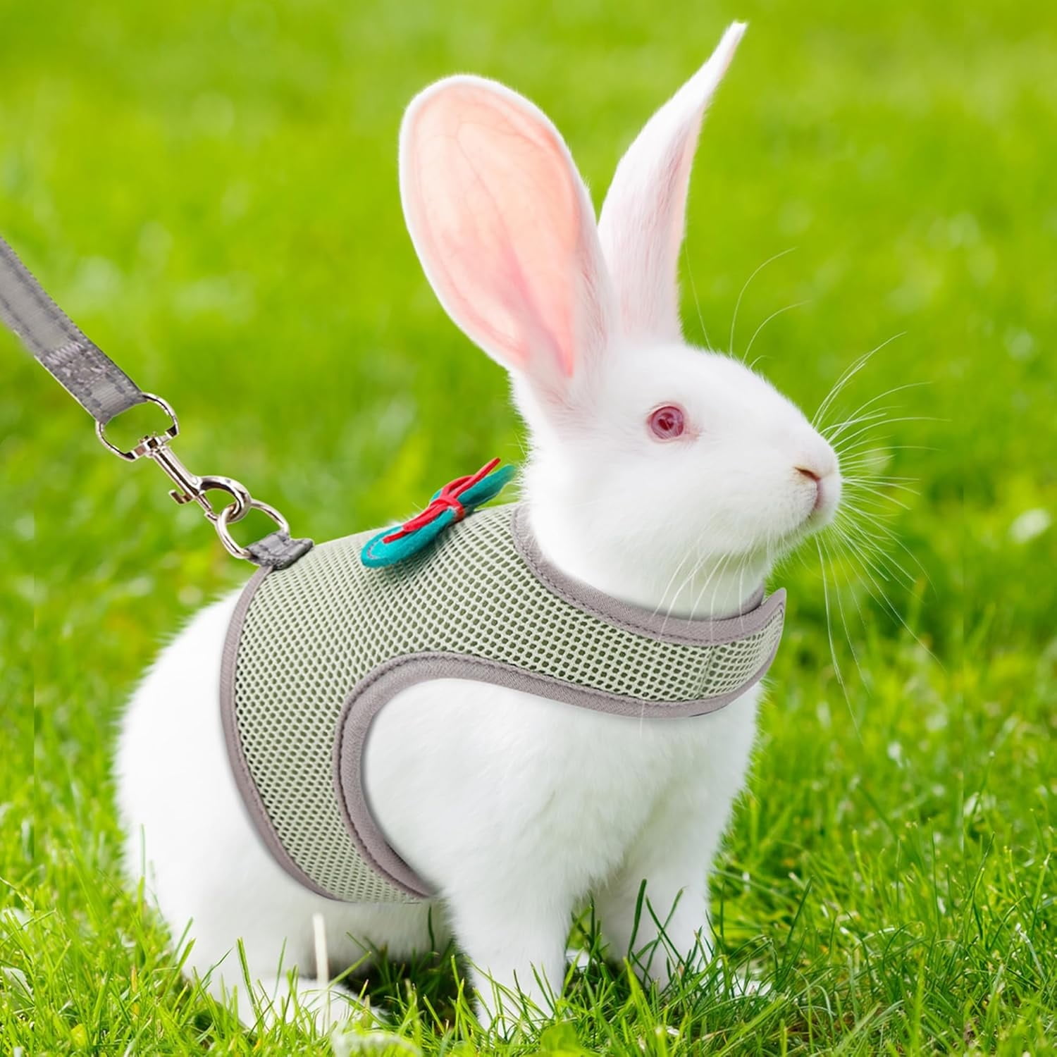 Easygou Bunny Harness and Leash Adjustable - Lightweight Vest with Cute ...