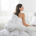 BedTreat Goose Feather Down Comforter Twin Size, Luxury Hotel Bedding Comforter All Season Duvet ...
