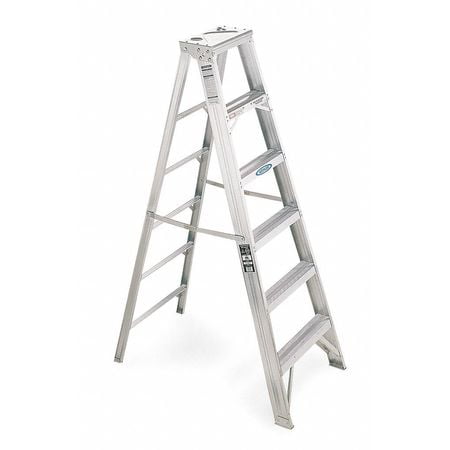 Werner 6 FT Ladders