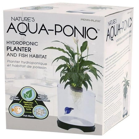 Penn-Plax Penn Plax Aquaponic Betta Fish Tank Promotes Healthy ...
