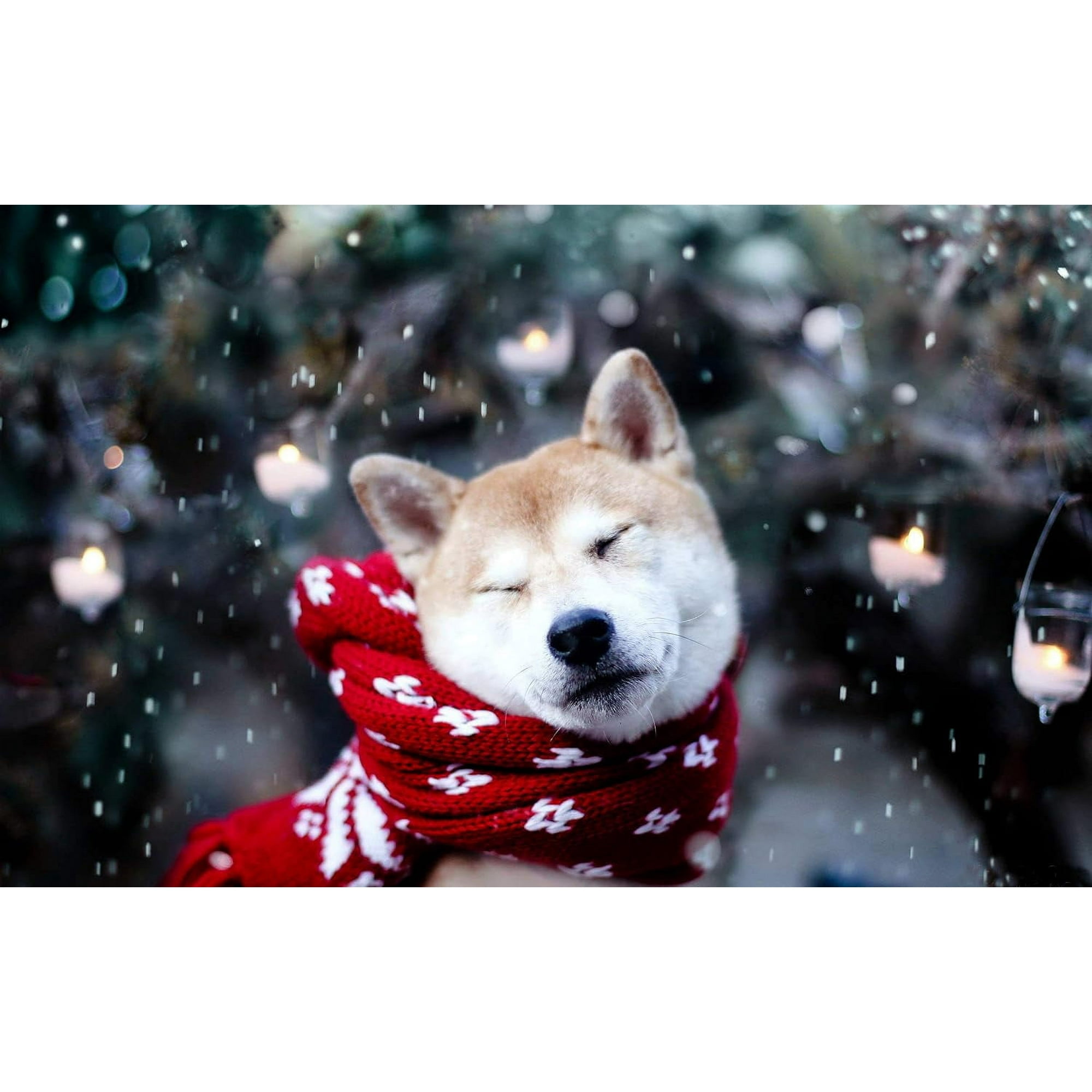 Click here for Jigsaw Puzzle 300 Piece For Adults Christmas Puppy... prices