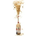 Steve Spangler Science Geyser Tube - 10 Pack - Walmart.com